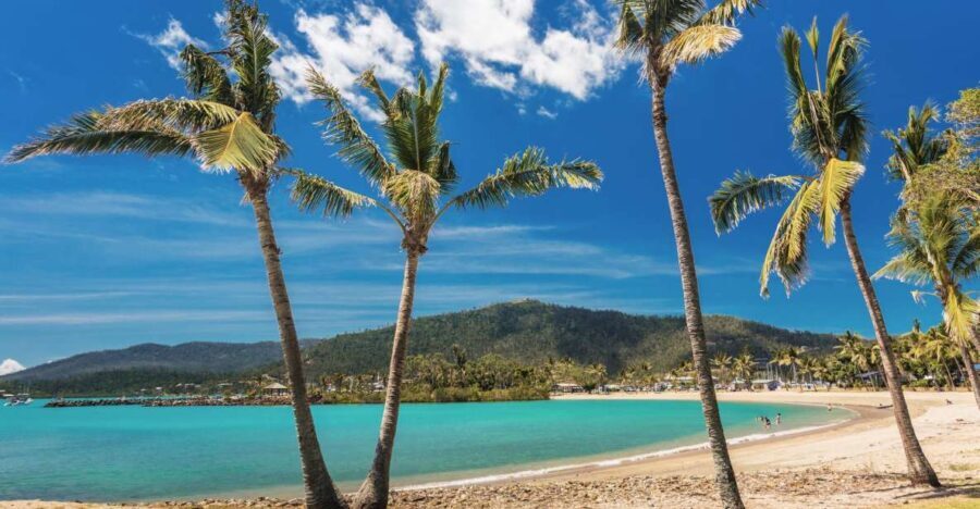 Airlie Beach: The Airlie Hopper Sightseeing Bus - Who Will Love This Tour?