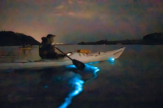 Auckland Bioluminescence Kayak Tour - An In-Depth Look at the Auckland Bioluminescence Kayak Tour