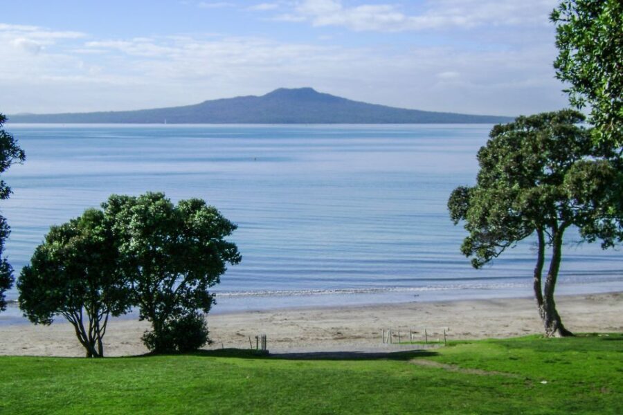 Auckland: Guided Small Group City Discovery Tour - What Makes This Tour Stand Out?