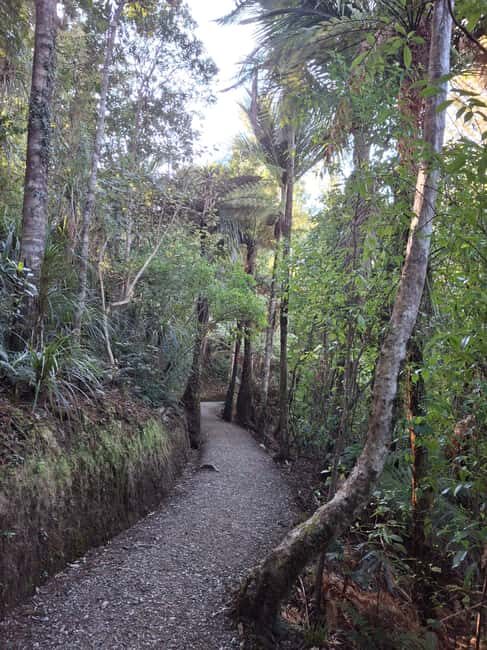 Auckland: Hiking West Auckland Rainforest & Waterfalls Tour - Exploring the Itinerary in Detail
