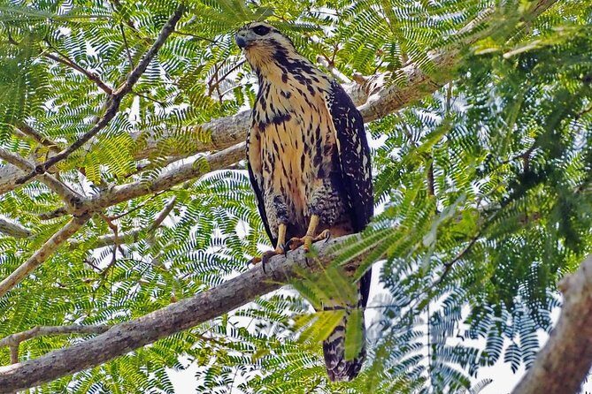 Bird watching in La Mancha - Who Will Love This Tour?