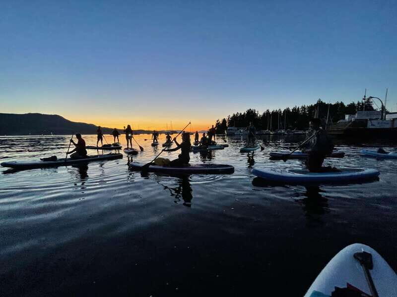 Brentwood Bay: Bioluminescence Tour - The Value of the Experience