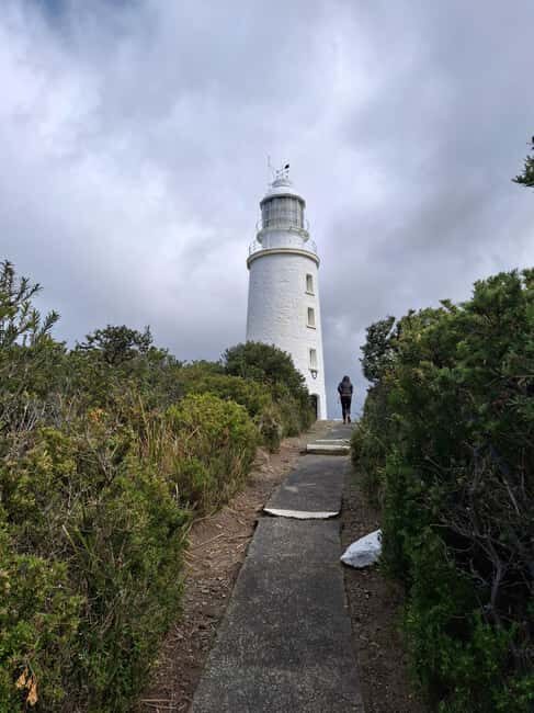 Bruny Island: Cape Bruny Lighthouse Tour - Who Will Love This Tour?