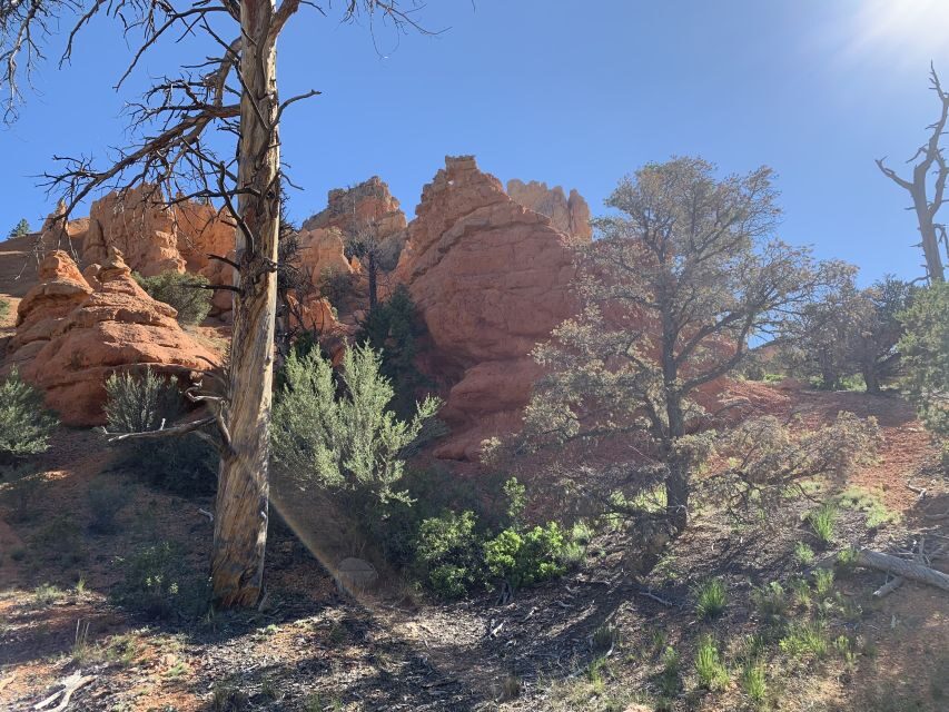 Bryce Canyon City: Horseback Riding Tour in Red Canyon - Who Will Enjoy This Tour?
