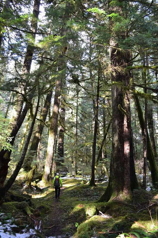 Cape Scott: San Josef Bay Day Hike with Scenic Drive - The Itinerary in Detail