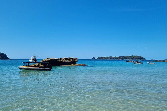 Cathedral Cove 2 Hour Guided Tour Explore Marine Wonders - Itinerary Breakdown: What Youll See and Do