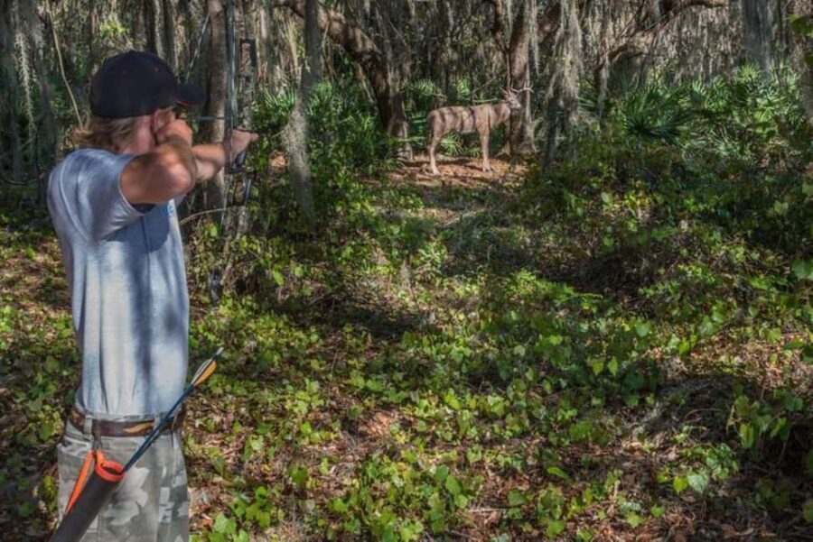 Clermont: Archery Tag Experience - Equipment and Instruction