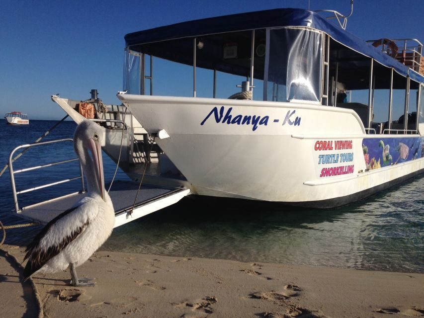 Coral Bay: Ningaloo Reef 3-Hour Turtle Ecotour - Who Will Love This Tour?