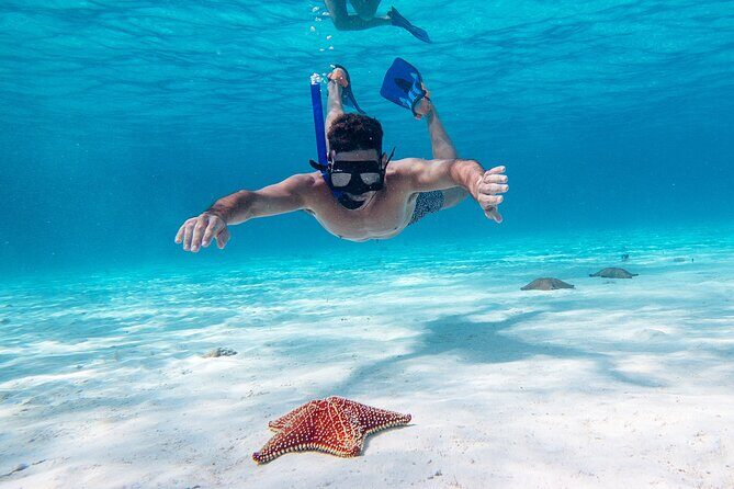 Cozumel Starfish and Tropical Reef Snorkeling by Powerboat with Lunch - The value of this experience