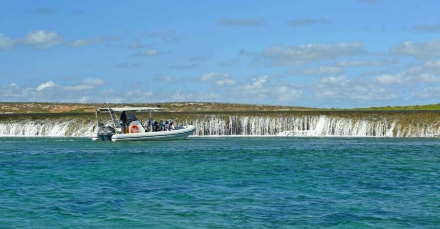 Cygnet Bay Unique Tidal Waterfall Reefs Scenic Cruise - Frequently Asked Questions