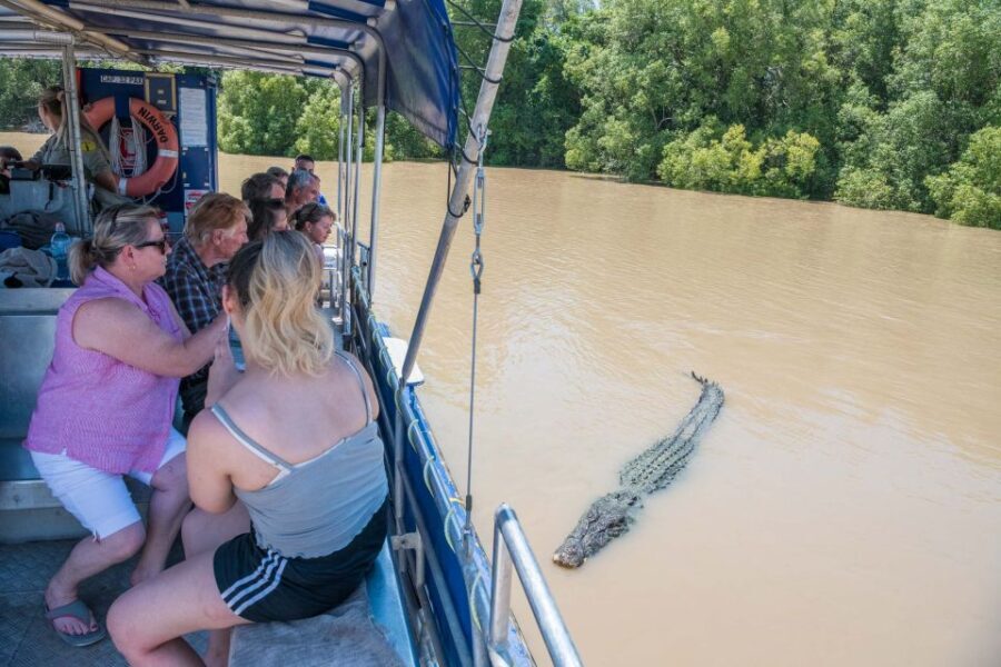 Darwin: Spectacular Jumping Crocodile Adelaide River Cruise - Practical Considerations and Logistics