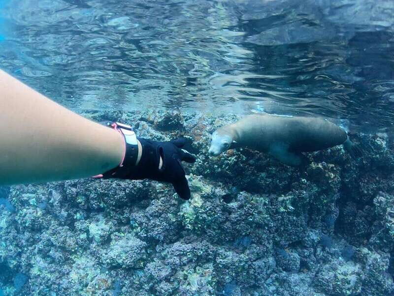 El Cabo: Incredible Private Tour to Espiritu Santo - The Logistics: What to Expect