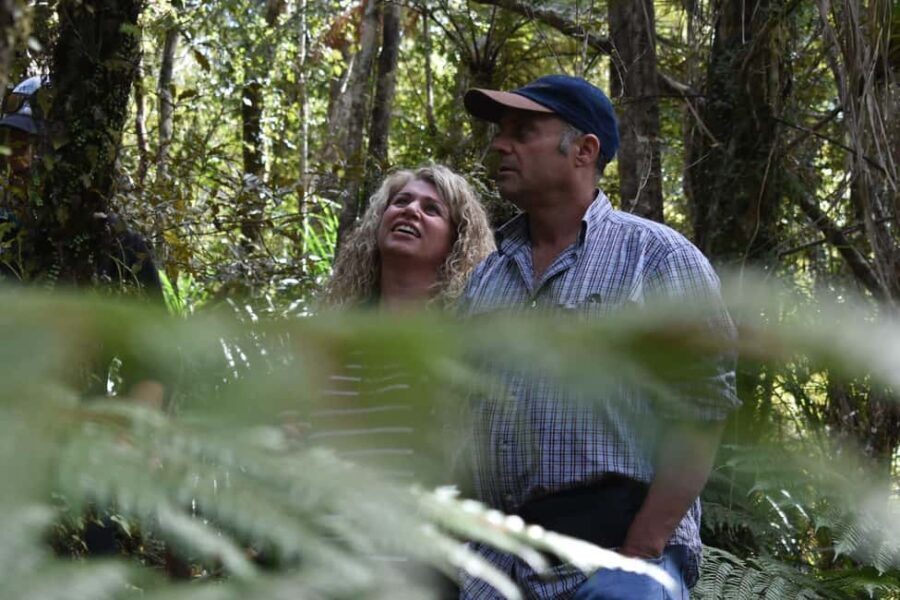 Franz Josef Glacier: 2.5-Hour Lake Mapourika Cruise and Walk - The Value of the Experience