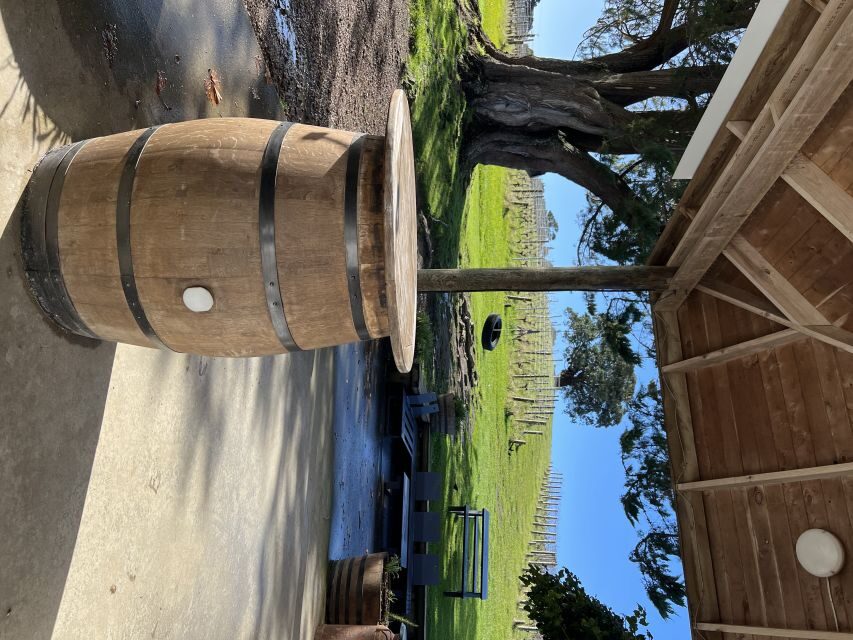 From Auckland: Waiheke Island Wine Cellar Tour - The Value of the Waiheke Wine Cellar Tour