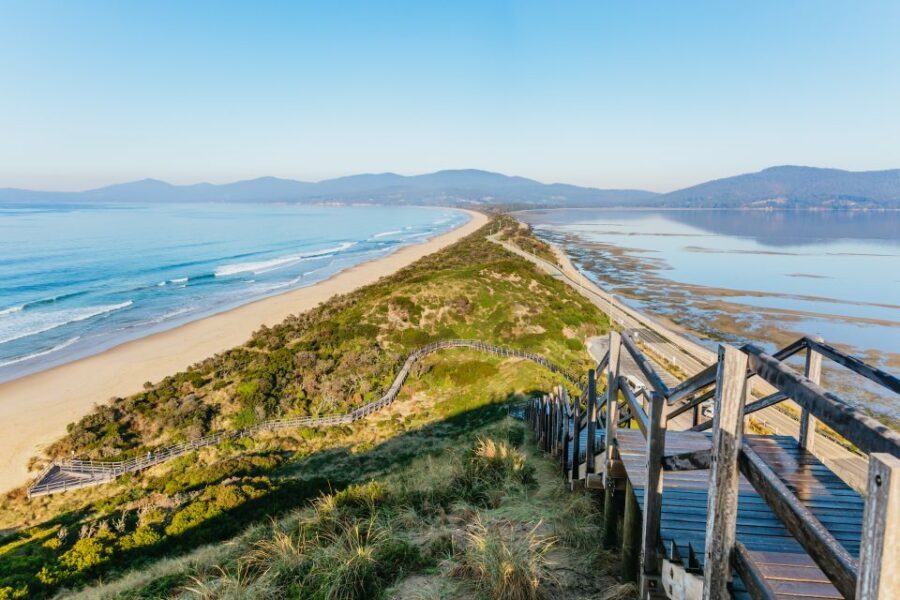 From Hobart/Adventure Bay: Bruny Island Wilderness Cruise - Practical Details: What To Expect and Why It Matters