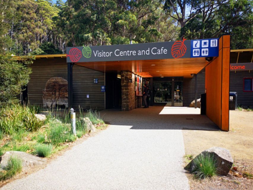 From Hobart: Mt. Field National Park and Russell Falls - An Overview of the Experience