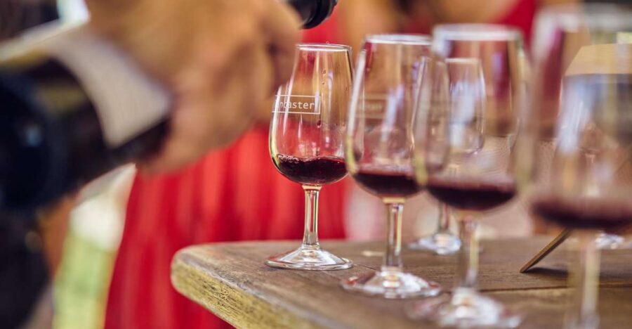 From Perth: Swan Valley Winery Tour - The Taste of Value and Authenticity