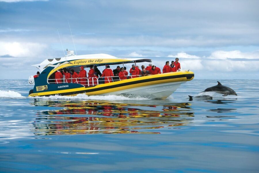 Hobart: Bruny Island Wilderness Coast Eco Cruise with Lunch - What Makes This Tour Stand Out