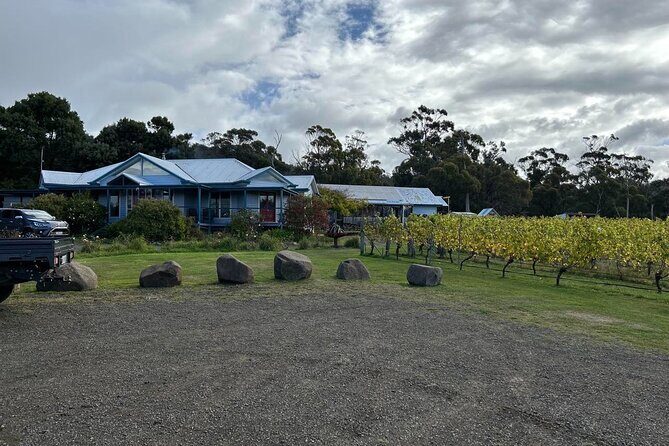 Huon Valley Wine and Cider Tour - Hobart and SE Tasmania - What to Expect in Terms of Value and Experience