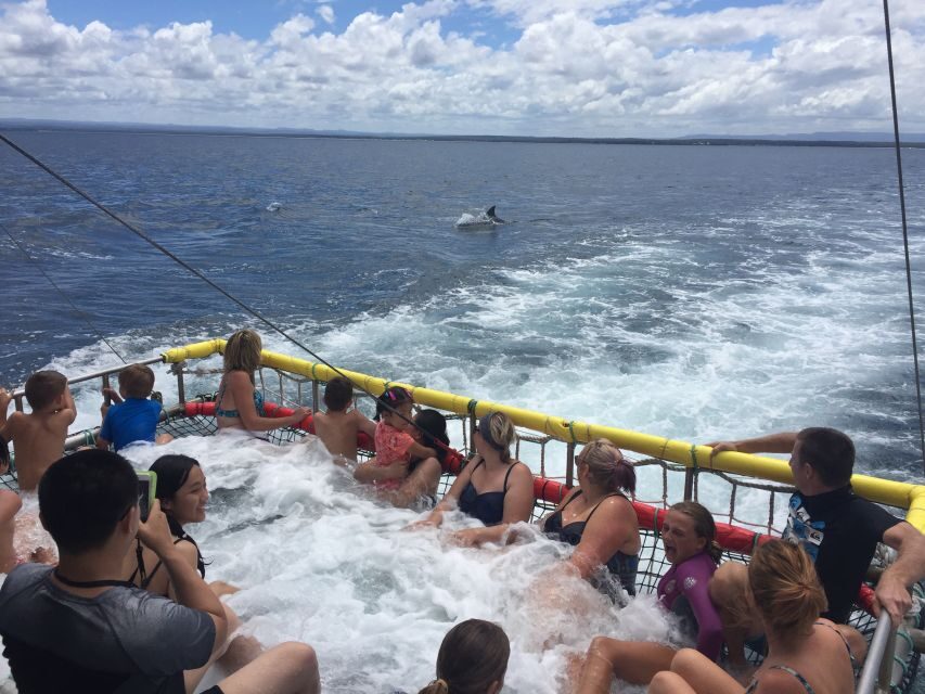 Huskisson: Dolphin Cruise & Boom Netting Experience - The itinerary in detail
