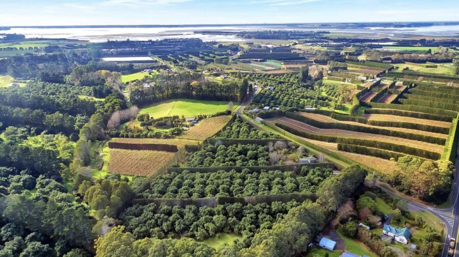 Katikati: Guided Gourmet Avocado Tour - Who Should Consider This Tour?