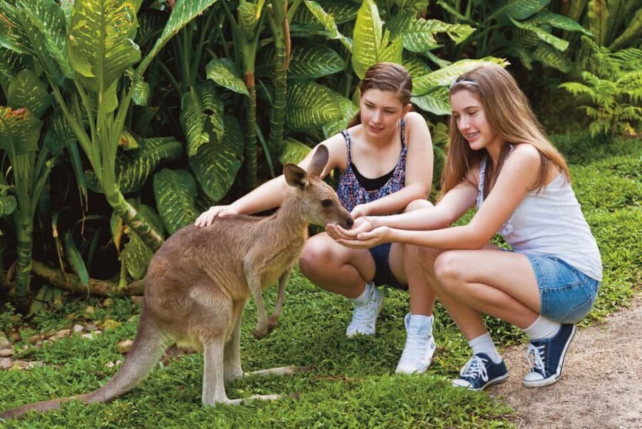 Kuranda Koala Gardens Park Entry - Who Should Visit Kuranda Koala Gardens?