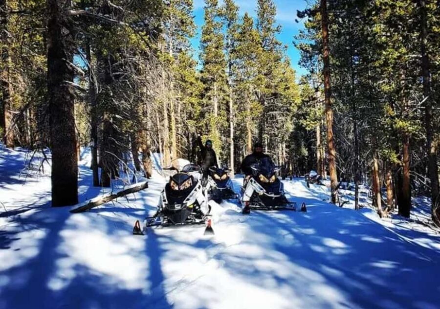 Leadville: Guided Snowmobile High Adventure Tour - Who Will Love This Tour?
