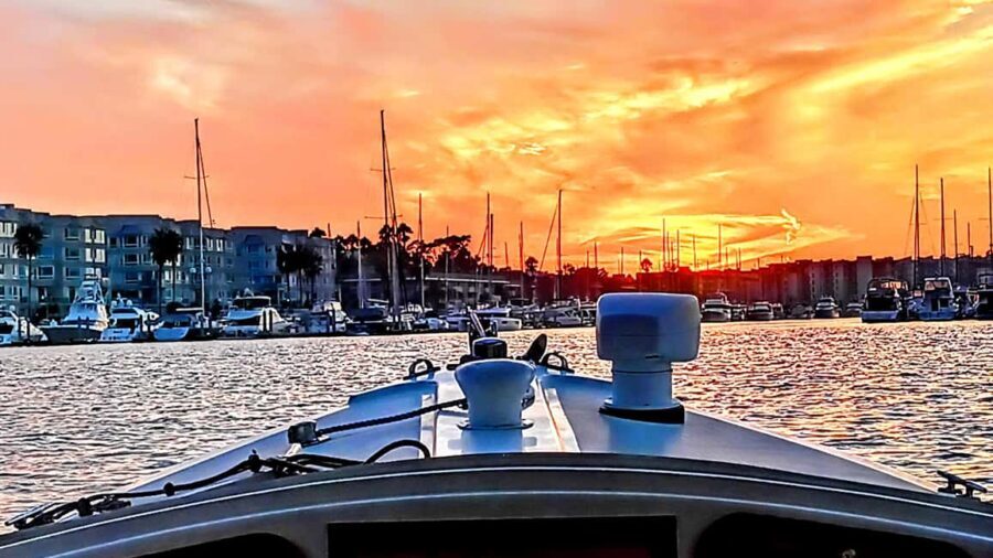 Marina Del Rey: Romantic Cruise, Wine, Cheese, Sealions - The Captain and the Guide