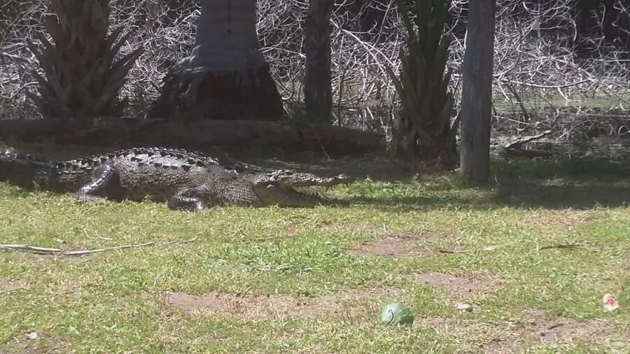 Mazunte-Ventanilla and Zipolite Ecotour - What’s Included and What You’ll Need to Bring