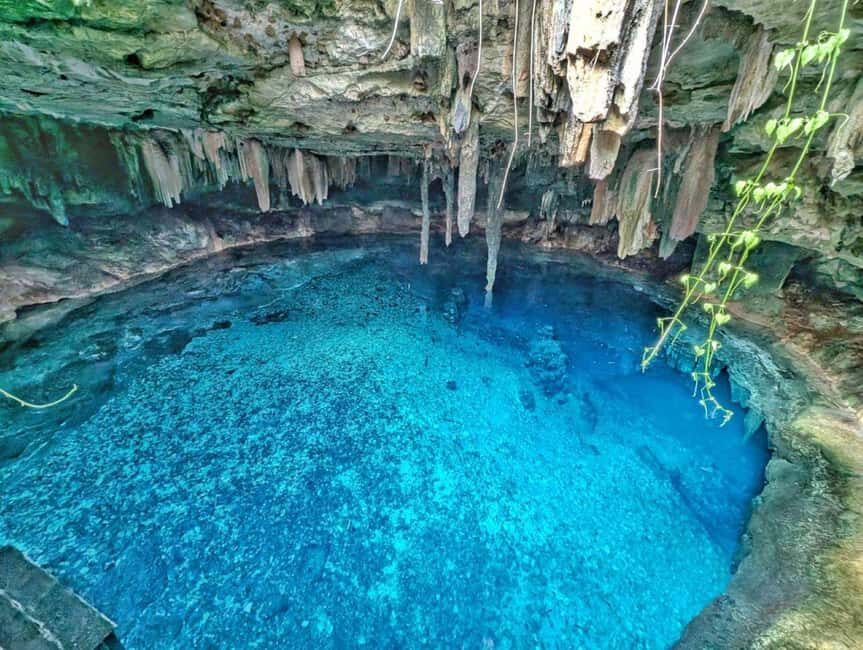 Mérida: 4 Majestic Cenotes Tour with Typical Lunch - Why This Tour Offers Excellent Value