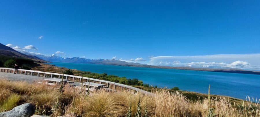 Mt Cook Tour: Finish at Queenstown, Christchurch or Dunedin - Why This Tour Works Well