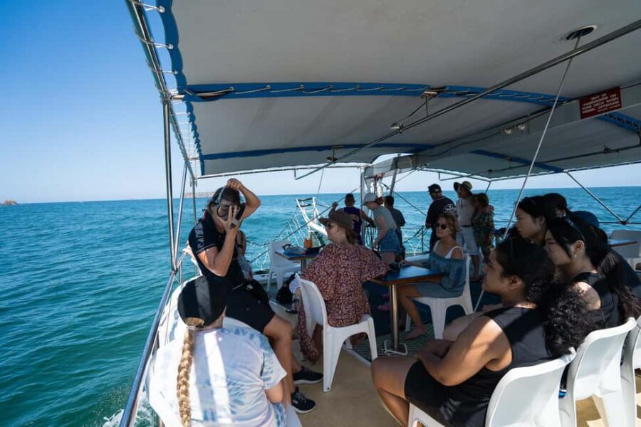 Nelson Bay: Marine Discovery Cruise with Snorkeling - The Value of This Experience