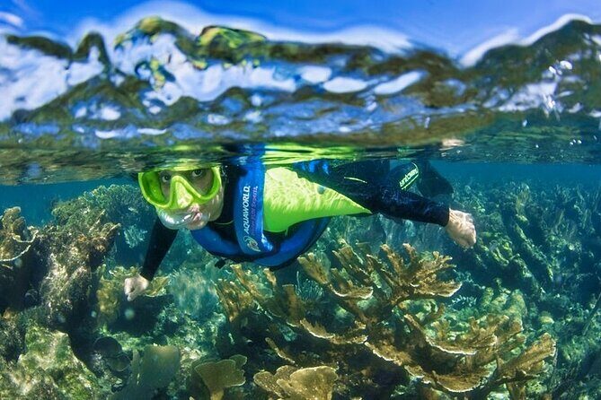 Nizuc Reef Snorkel Experience - Practical Details
