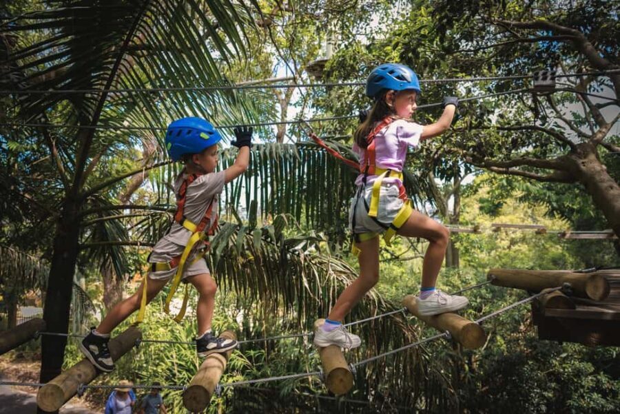 Ourimbah: Central Coast Junior Tree Ropes Course - Who Will Love This Experience?