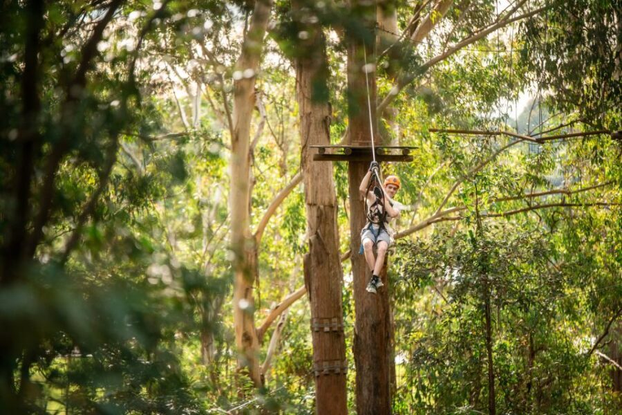 Ourimbah: Central Coast Treetops Adventure Tree Ropes Course - Who Is This Experience Best For?