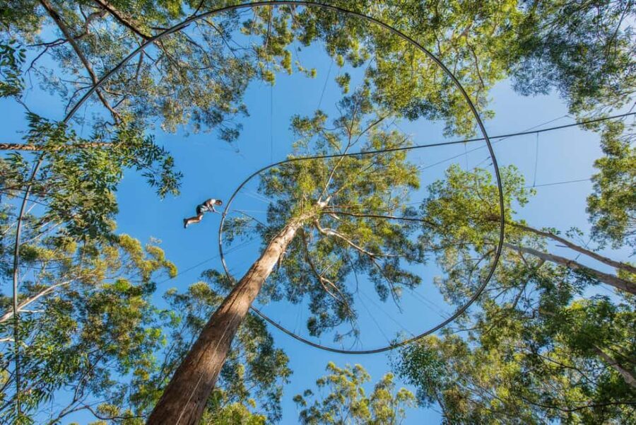Ourimbah: Central Coast Zipcoaster - What to Expect During Your Ride