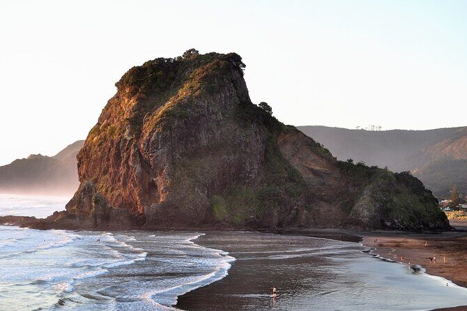 Piha Beach & Wilderness Nature : PRIVATE TOUR 8 hrs - Transportation and Comfort