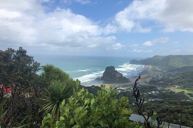 Piha Waitakere Rainforest Wine Tour from Auckland - Practical Details and Considerations