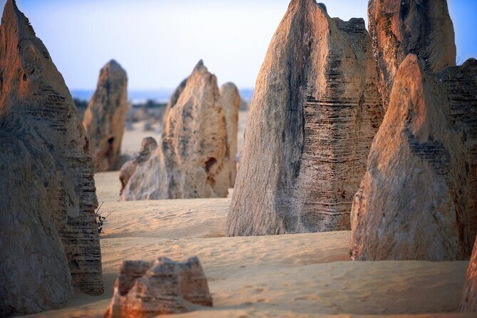 Pinnacles Desert, Yanchep and Swan Valley with Lunch - Why This Tour Works