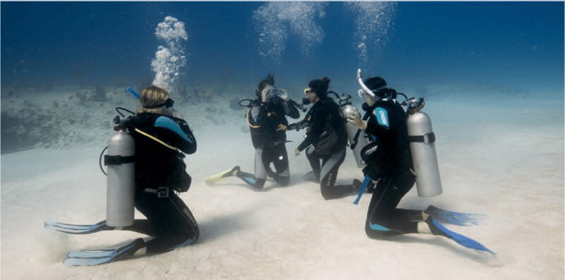 Playa del Carmen: Scuba Diver Certification Course - The Itinerary Breakdown