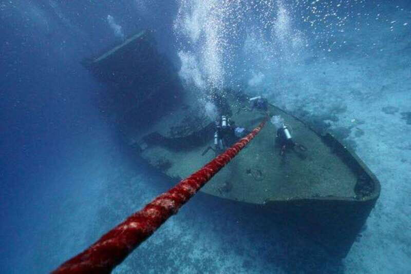 Playa del Carmen: Wreck Dive Mama Viña - Who Will Love This Tour?