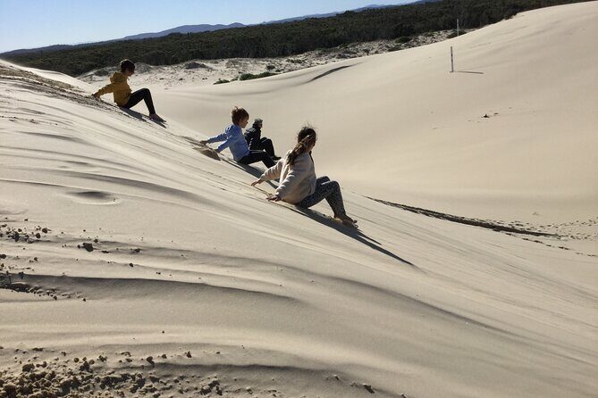 Port Stephens, Beach and Sand Dune 4WD Tag-Along Tour - The Value of This Experience