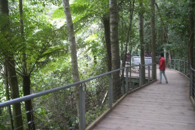 PRIVATE Blue Mountains day tour with local guide. - Value and Practical Considerations