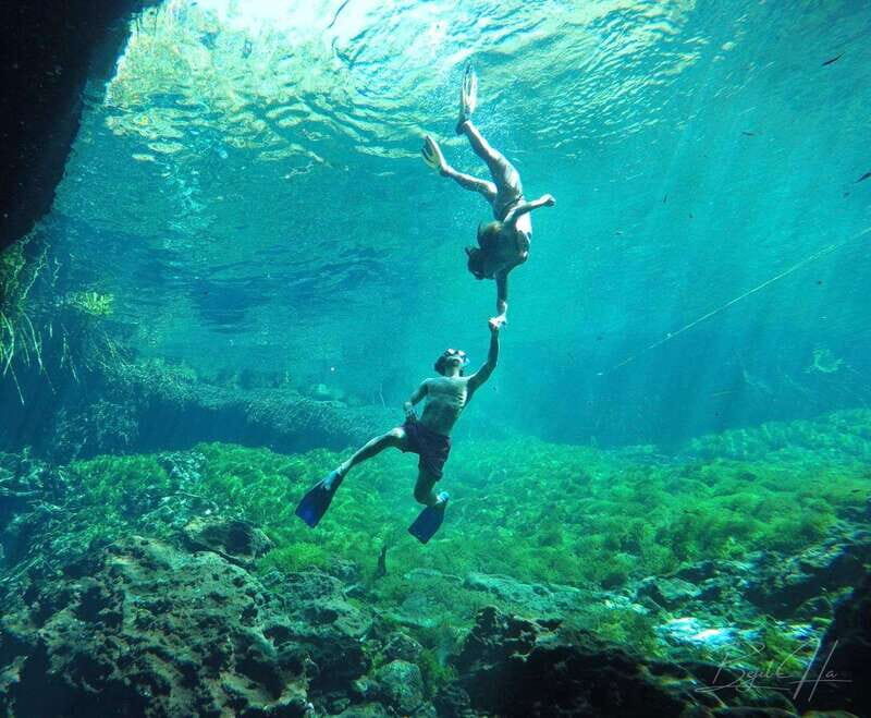 Ride to a life-changing cenotes tour - Why This Tour Is a Great Value