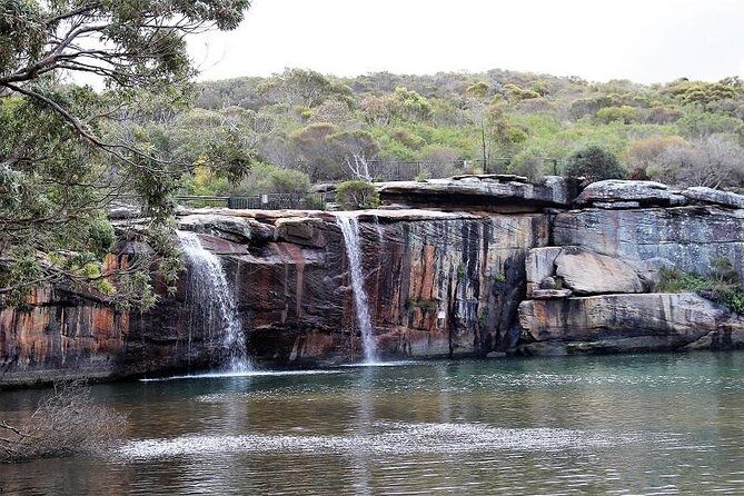 Royal National Park Private Tour - The Value of This Tour