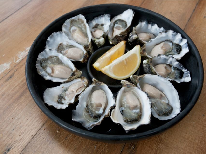 Signature Bruny Island Tour - Hobart & SE Tasmania - Who Will Love This Tour?