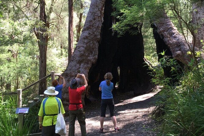 Southern Experience 3 Day Tour - Who Would Love This Tour?