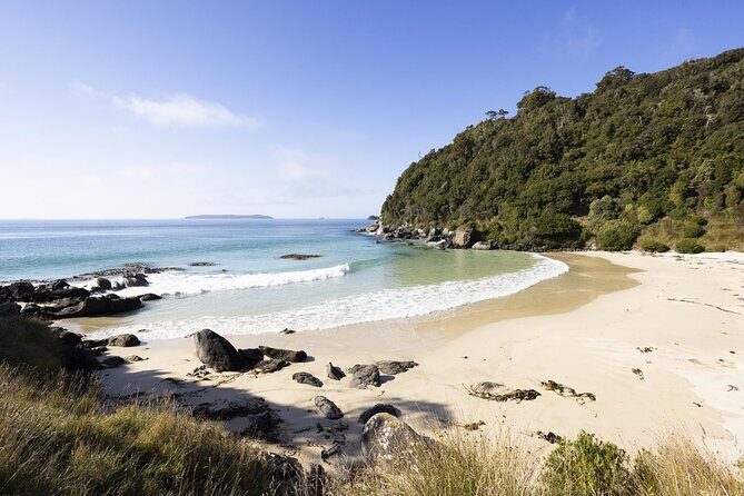 Stewart Island Guided Wilderness Walk - The Experience: What Makes It Special