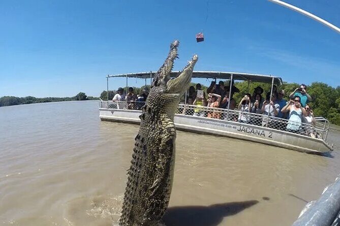 The Croc Bus to the Famous Jumping Crocodile Cruise - Practical Details and Traveler Tips