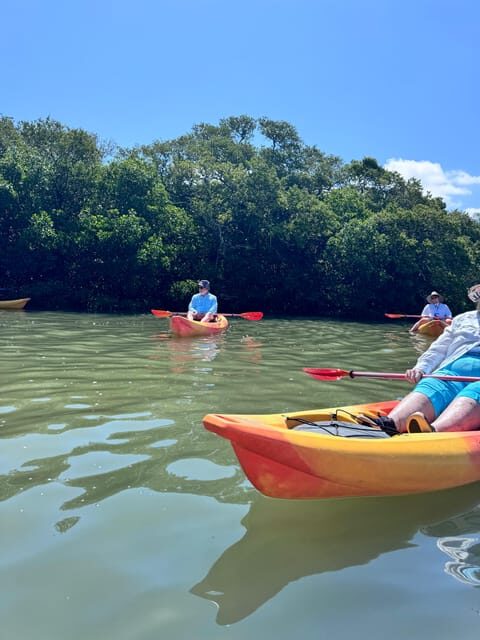 Tierra Verde: Shell Key Mangrove Private Guided 1.5 hr Tour - Who is this tour best for?